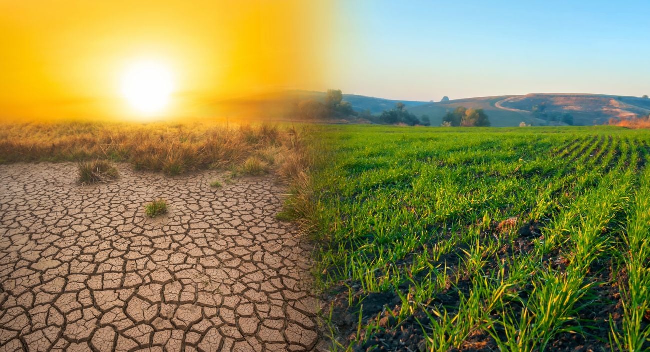 Climate Change and the Stress on the Food Industry